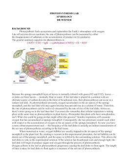 The Floating Leaf Disk Assay for InvestigatingPhotosynthesis