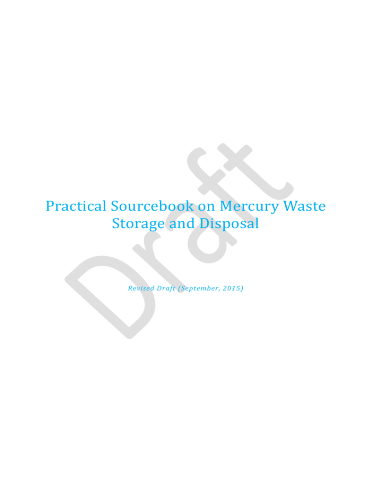 1.1 Types of Mercury Wastes