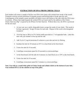 Sample Lab Report- DNA Extraction from Cheek Cells