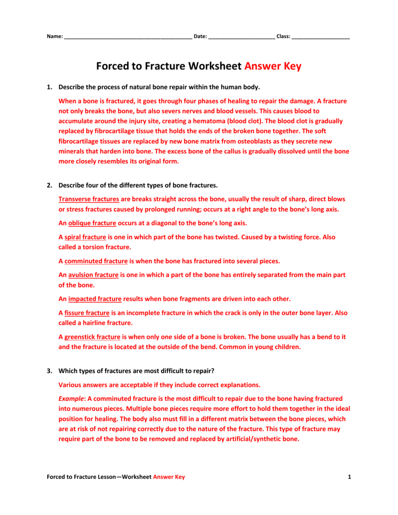 Bone Fractures Worksheet Answers Bone Fractures Worksheet Answers