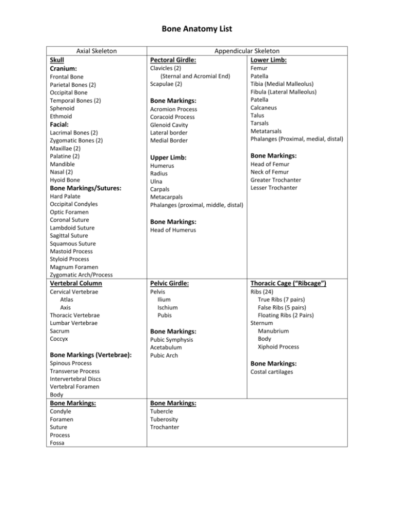Bone Anatomy List Bone Anatomy List