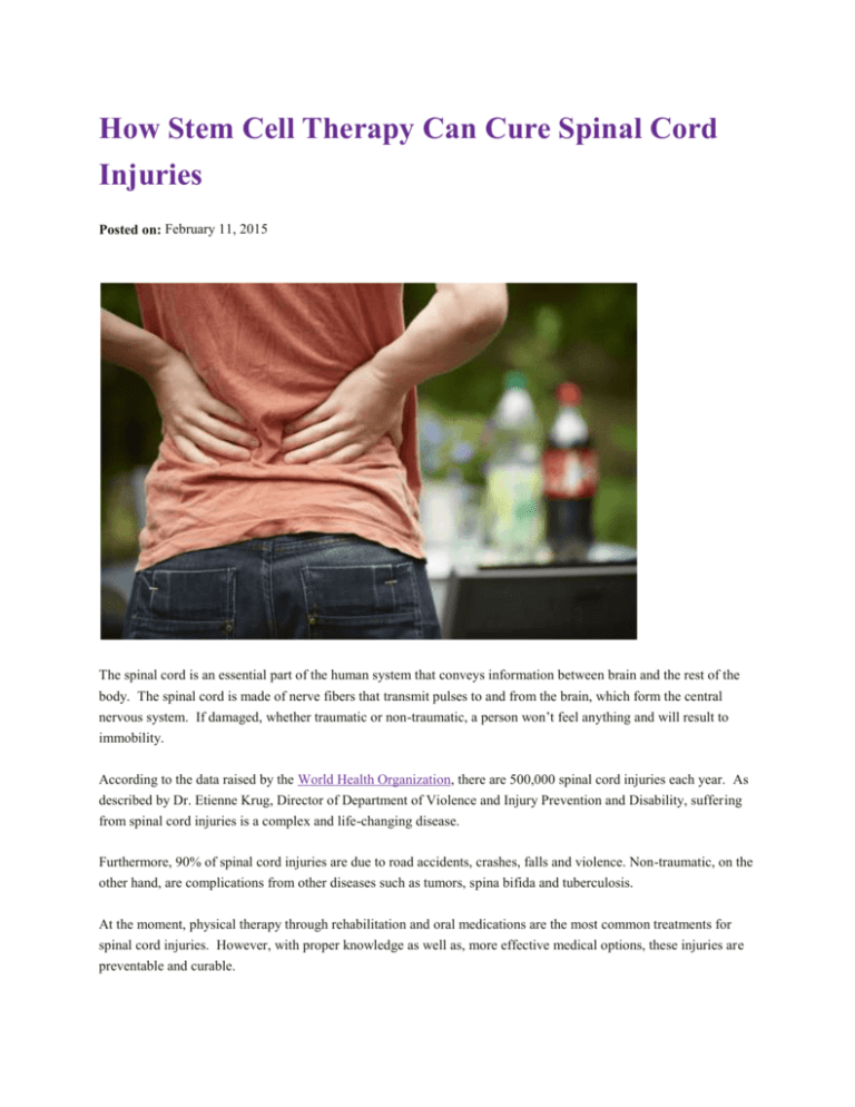 How Stem Cell Therapy Can Cure Spinal Cord Injuries