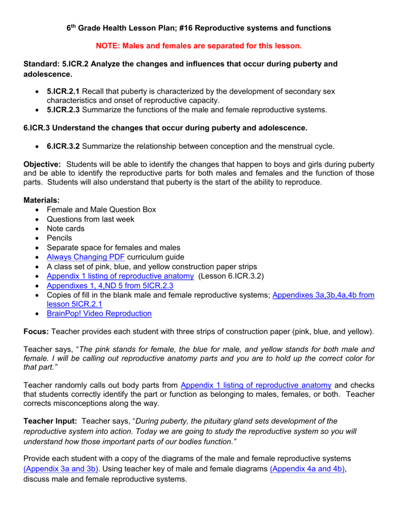 6th Grade Health Lesson Plan 16B
