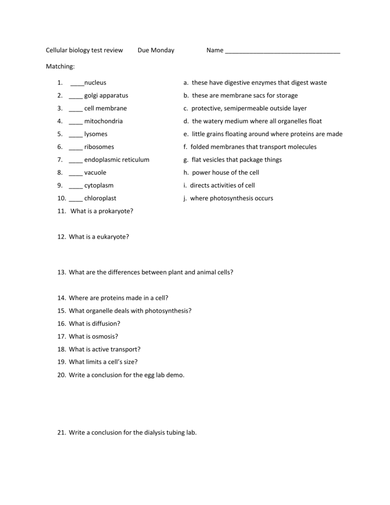 Cell Test Review