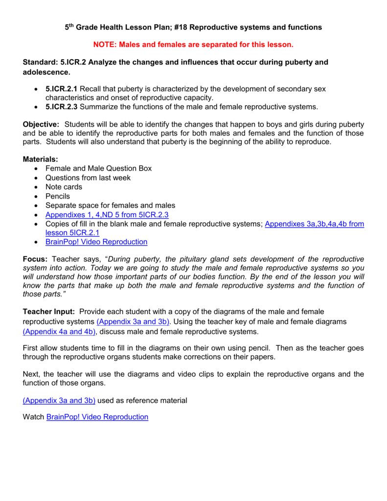 5th Grade Health Lesson Plan 18 5th Grade Health Lesson Plan 18