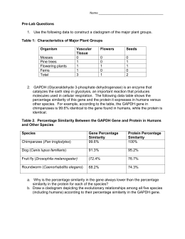 Cladistics and Bioinformatics Worksheet