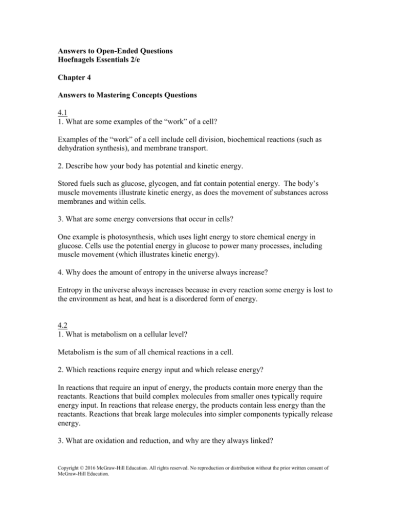 Chapter 4 McGraw Hill Higher Education