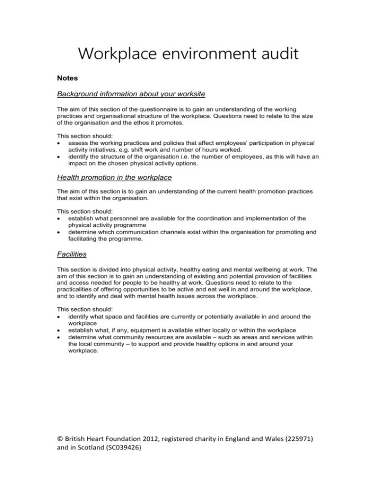 Workplace Environment Audit Questionnaire