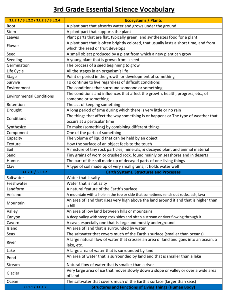 13 Best Images Of Vocabulary Practice Worksheets 3rd Grade Reading 13 Best Images Of Vocabulary Practice Worksheets 3rd Grade Reading