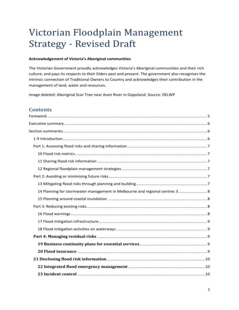 Victorian Floodplain Management Strategy