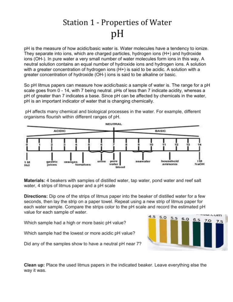 Properties Of Water Lab