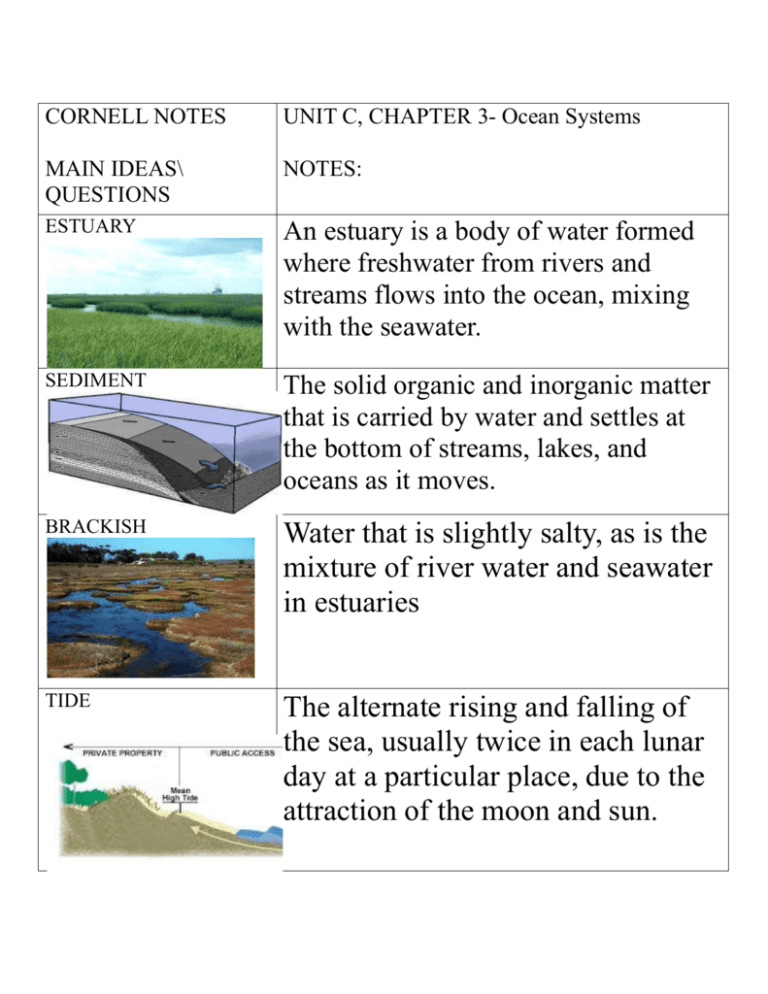 Ocean Systems: Cornell Notes - Estuaries, Tides, Plankton