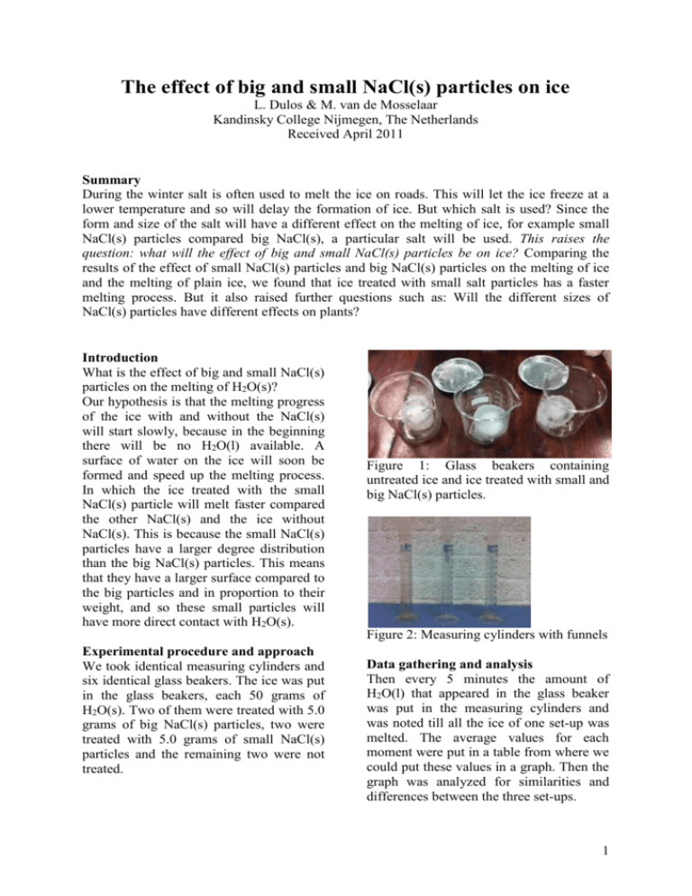 The effect of big and small NaCl(s) particles on ice
