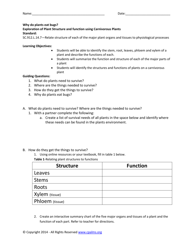 11 Chapter 23 Plant Structure And Function Answer Key IzzatyMilos