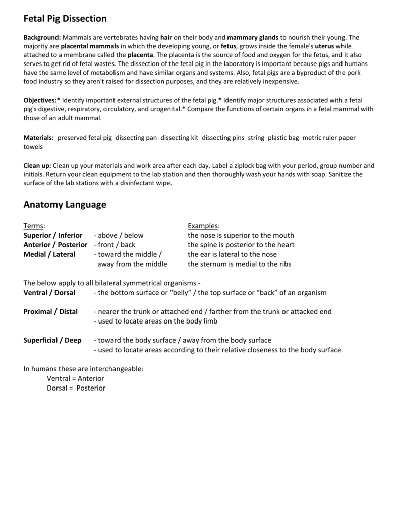Fetal Pig Dissection Lab Worksheet Answers Promotiontablecovers Fetal Pig Dissection Lab Worksheet Answers Promotiontablecovers
