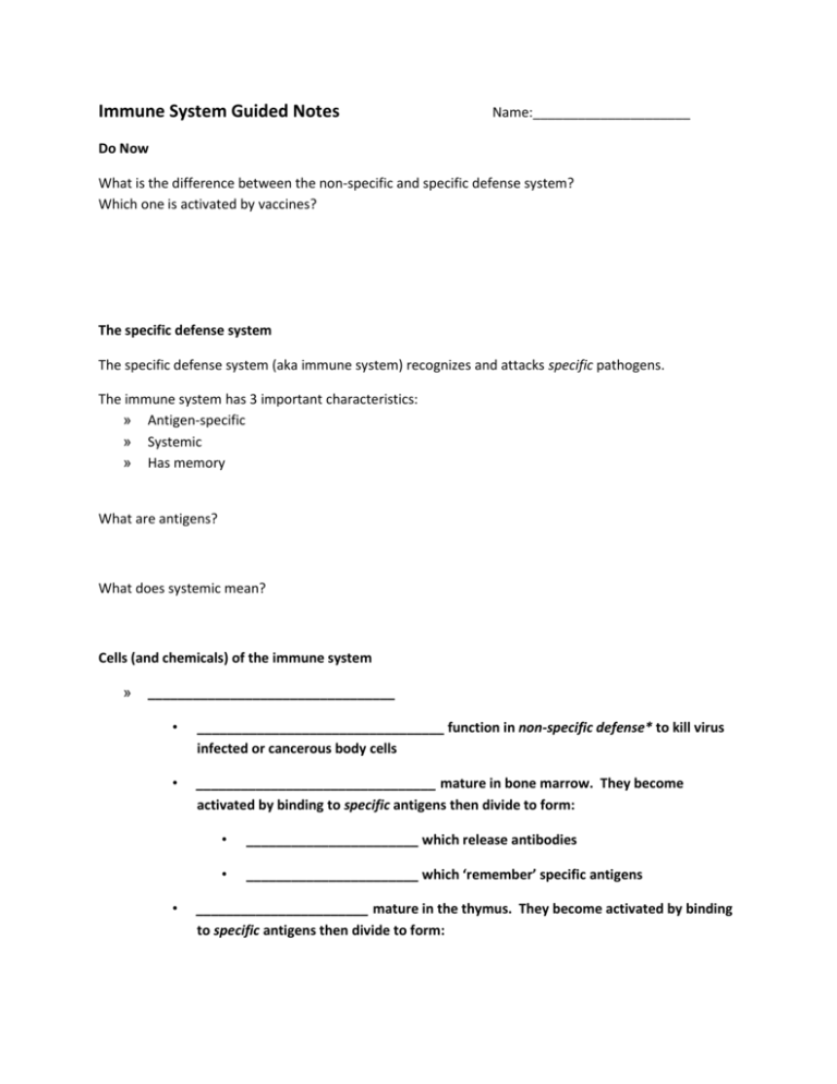 Immune System Guided Notes