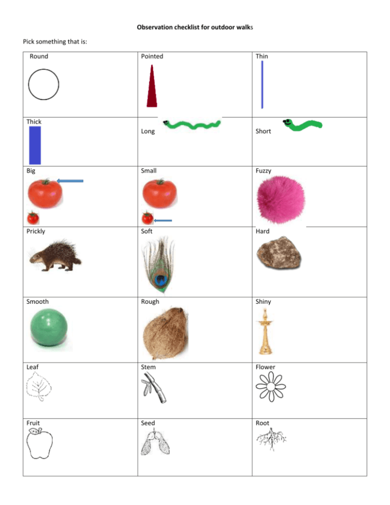 Observation checklist for outdoor walks