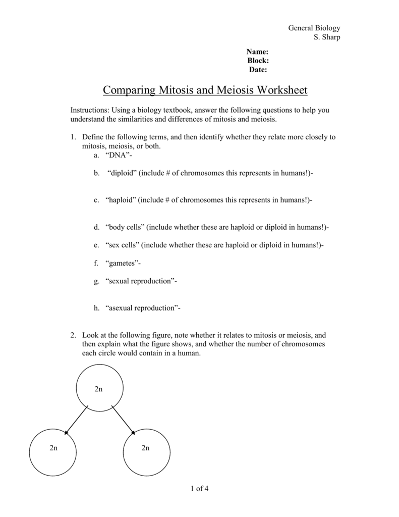 Biology Comparing Mitosis And Meiosis Worksheet Answers TUTORE ORG Biology Comparing Mitosis And Meiosis Worksheet Answers TUTORE ORG