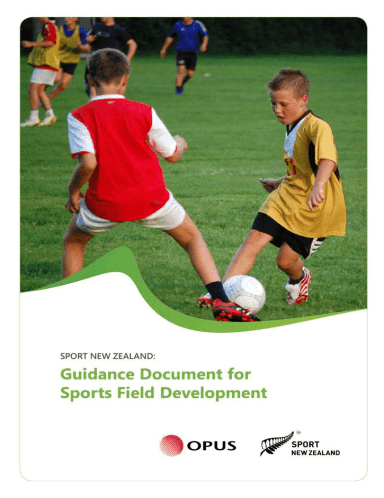 Sport field development options