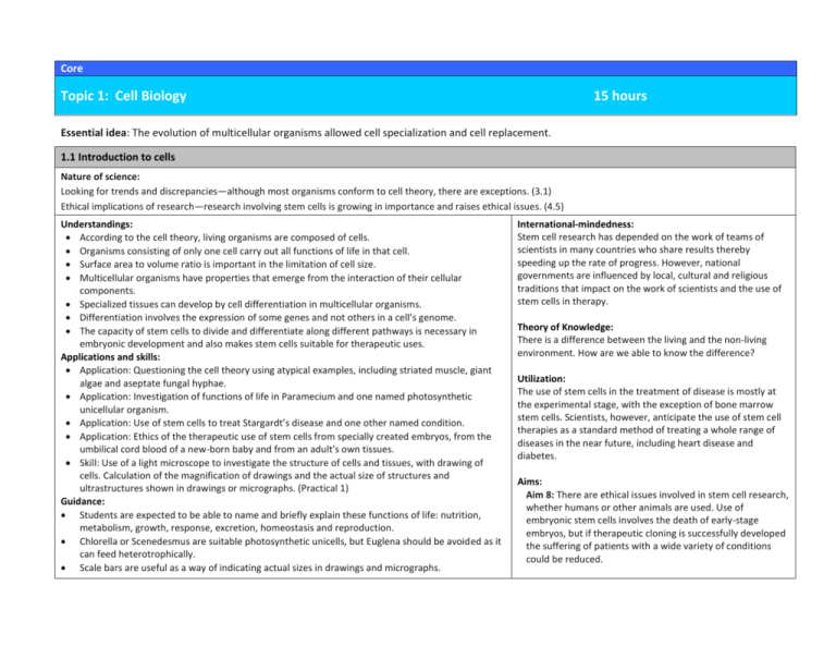 IB Syllabus IB Syllabus