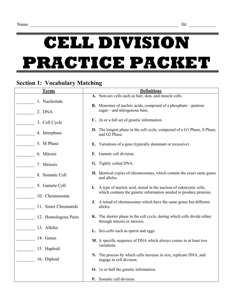 Cell Division Practice Packet