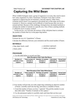 bean+population+estimation+lab