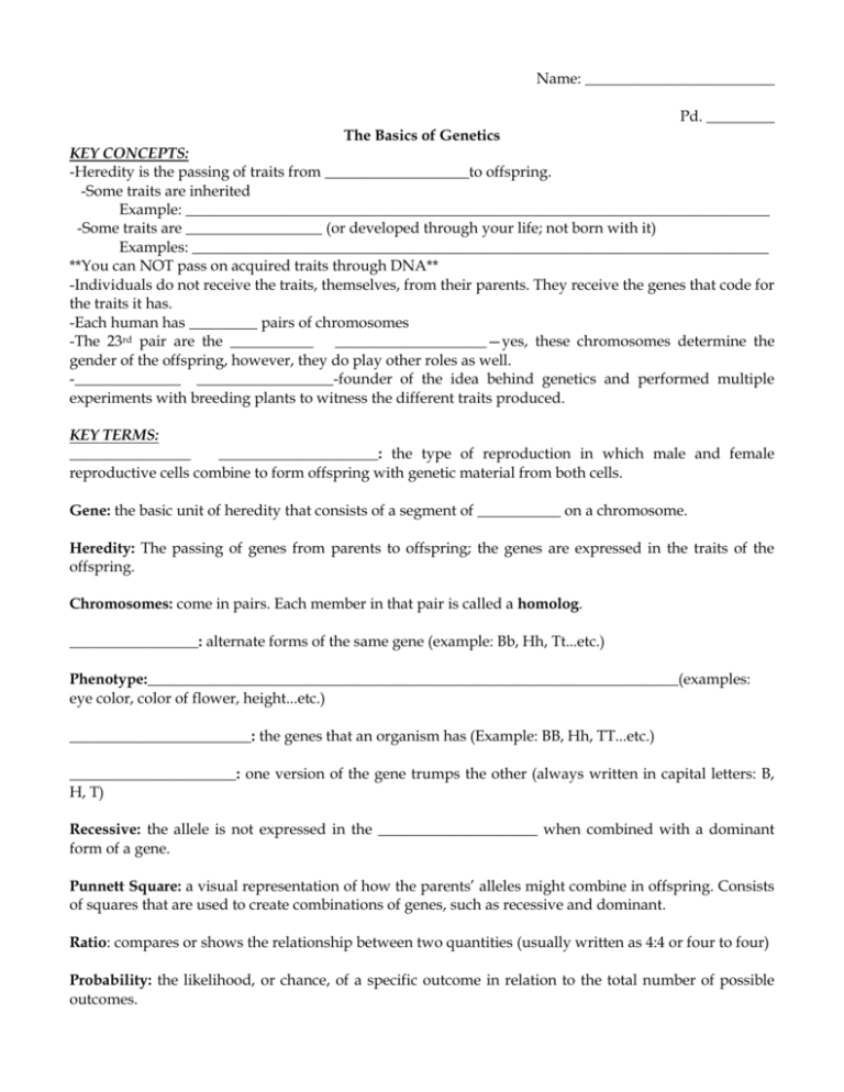 Genetics Blank Study Guide