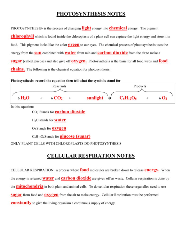 Photosynthesis And Cellular Respiration Notes Photosynthesis And Cellular Respiration Notes