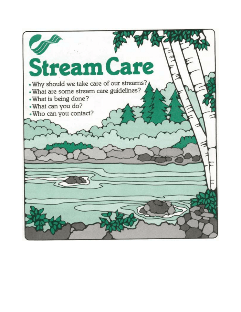 Why Should We Take Care Of Our Streams