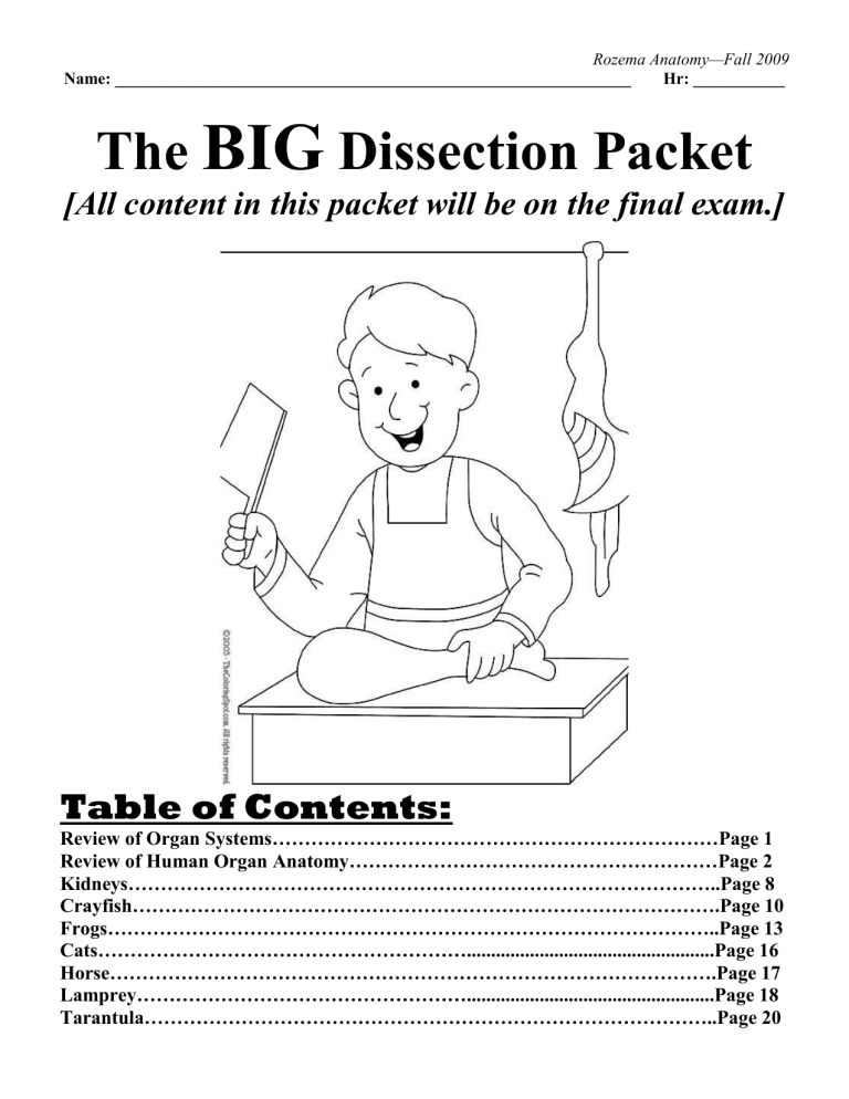 BIG Dissection Packet BIG Dissection Packet