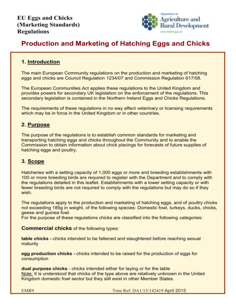 Explanatory leaflet on production and marketing of hatching eggs