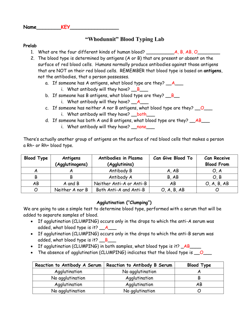  Whodunnit Blood Typing Lab