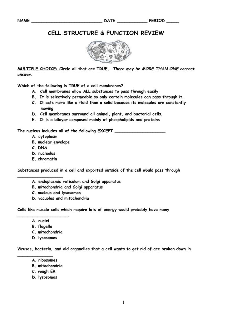 Cell Structure And Function Review