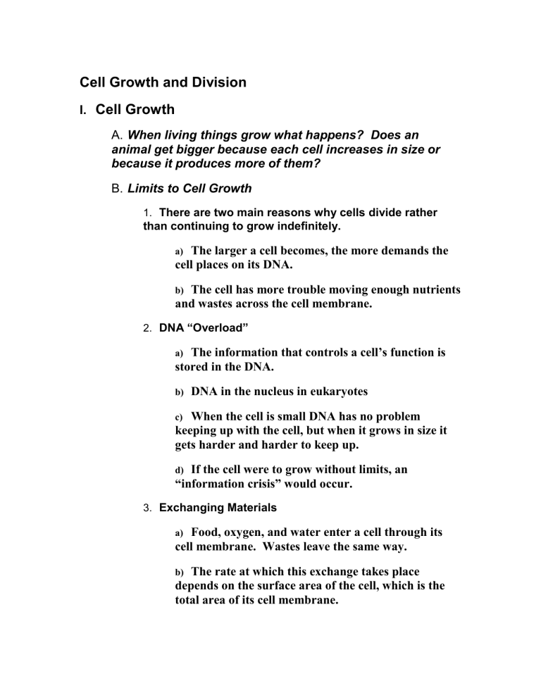 Cell Growth And Division Cell Growth And Division