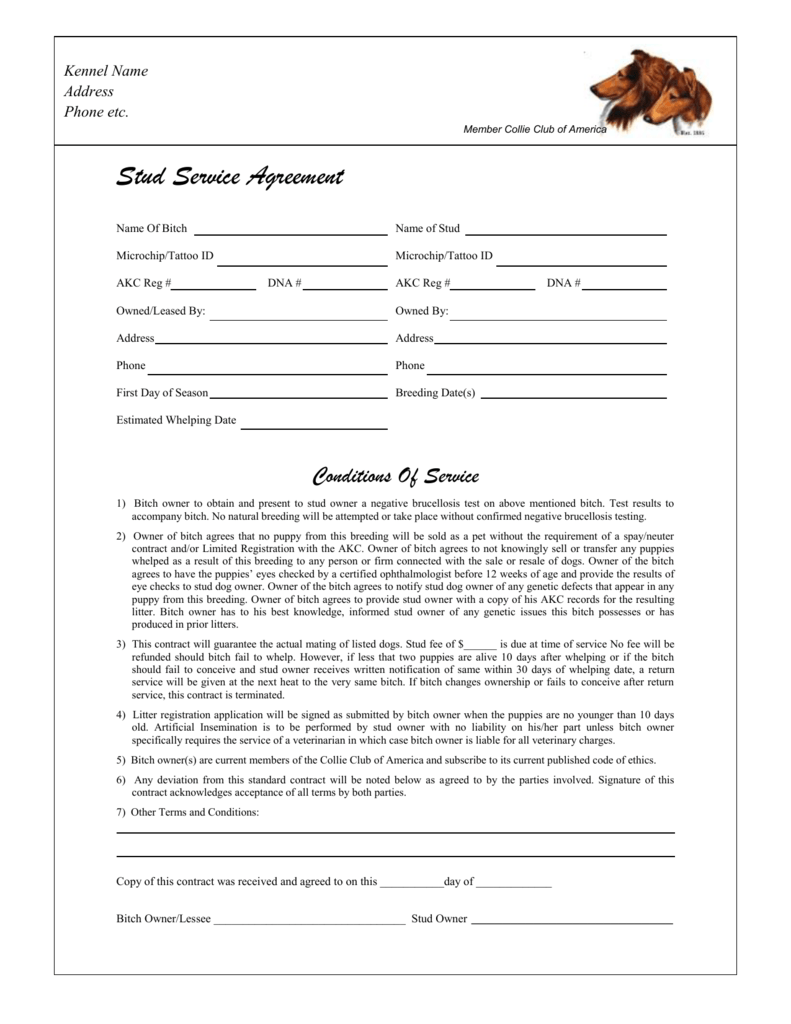 25 Tiny Stud Dog Contract Template Uk Picture HD Uk bleumoonproductions