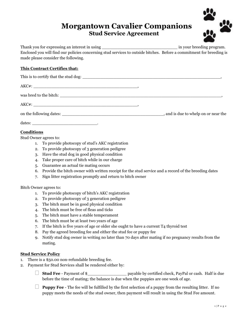 Stud Contract Morgantown Cavalier Companions