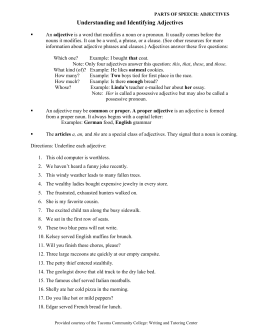 Medical Terminology: Adjectives