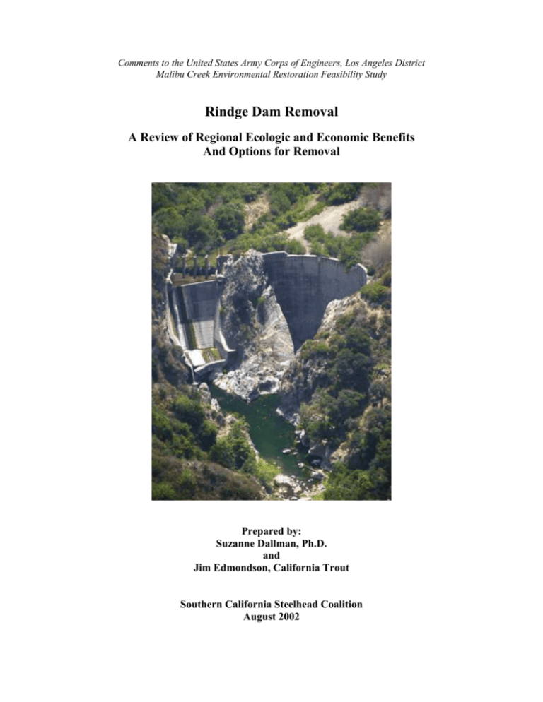 4.0 Conceptual Approach to Removing Rindge Dam