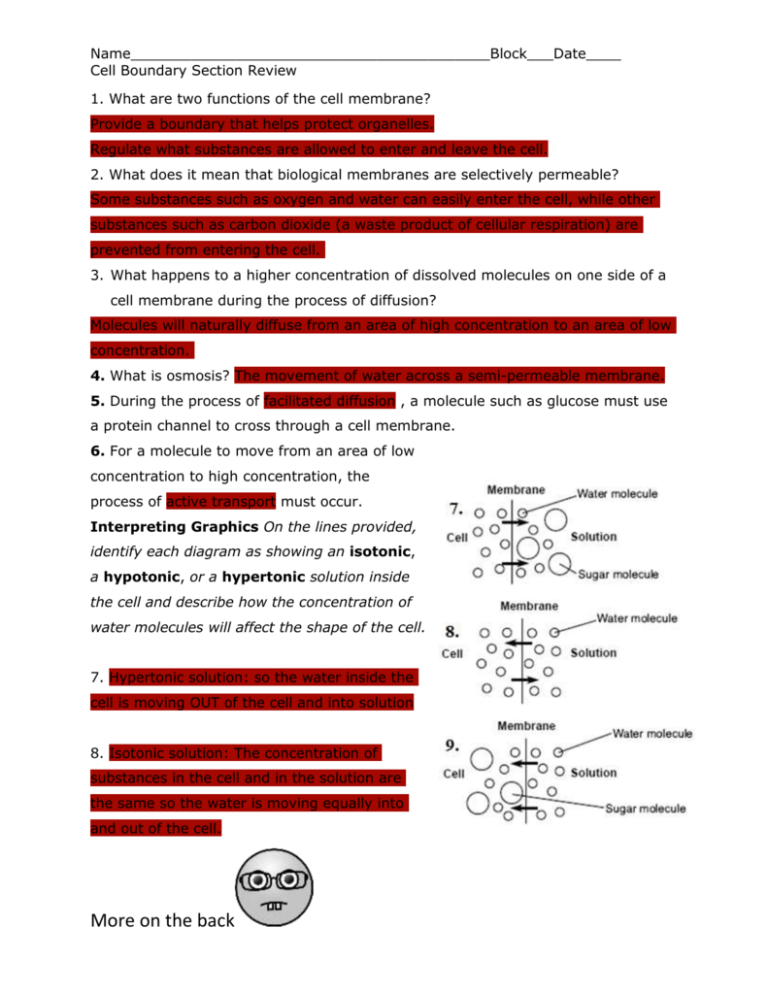 Cell Membrane Review Answer Key