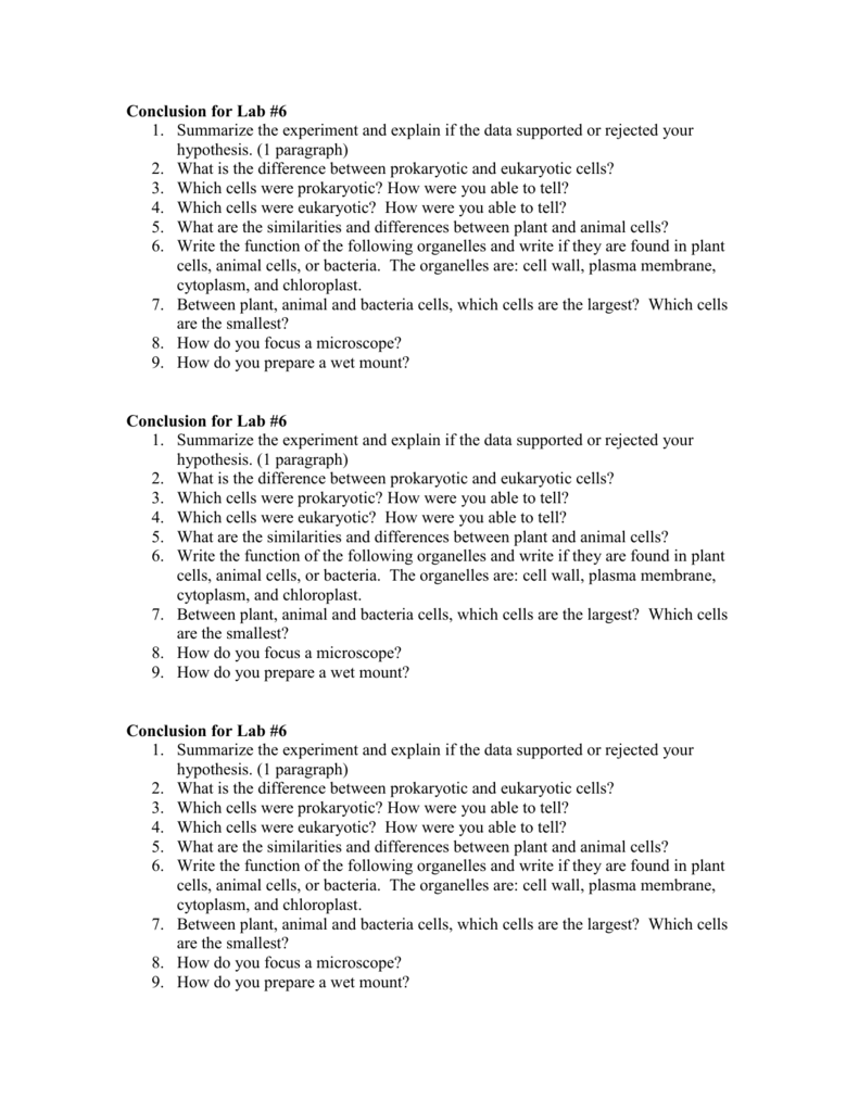 Conclusion For Lab 6
