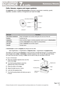 Year 8 Cells - Revision Questions