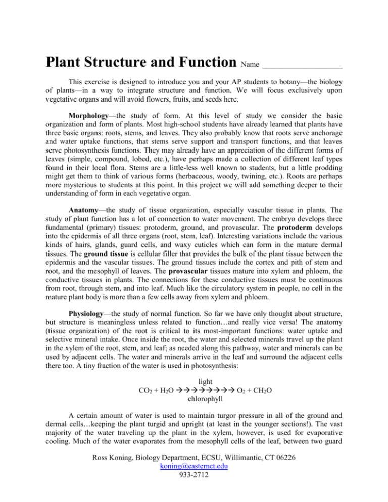 Plant Structure And Function Name
