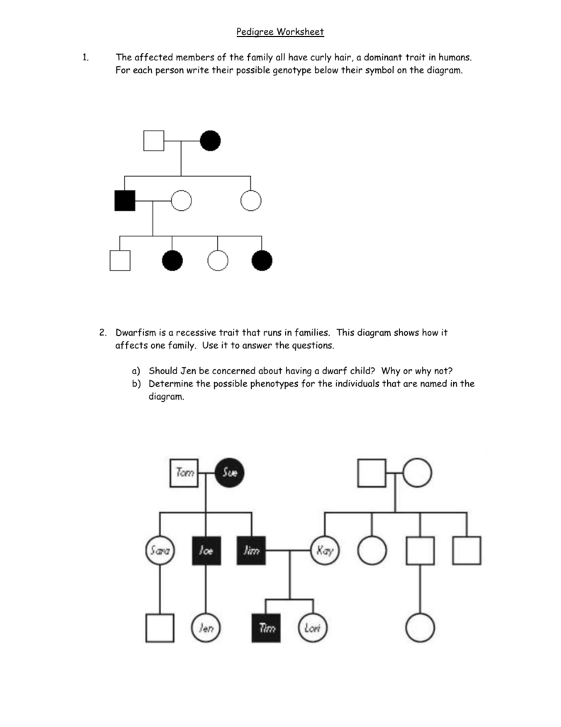 Pedigree Practice Worksheet Part 1 Answers