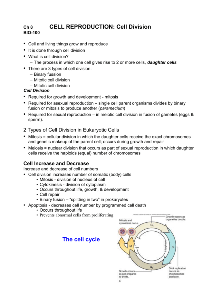 Ch 10 Cell Division Ch 10 Cell Division