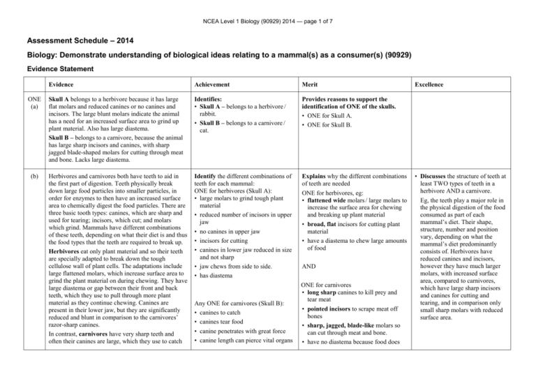 NCEA Level 1 Biology 90929 2014 Assessment Schedule