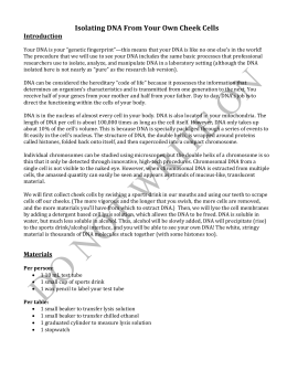 Sample Lab Report- DNA Extraction from Cheek Cells