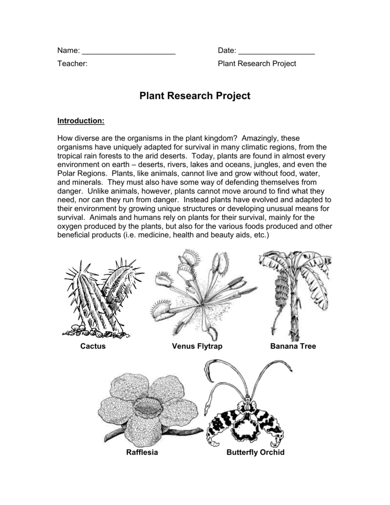 Plant Research Project Plant Research Project