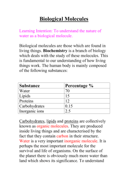 Water Molecule Model Building
