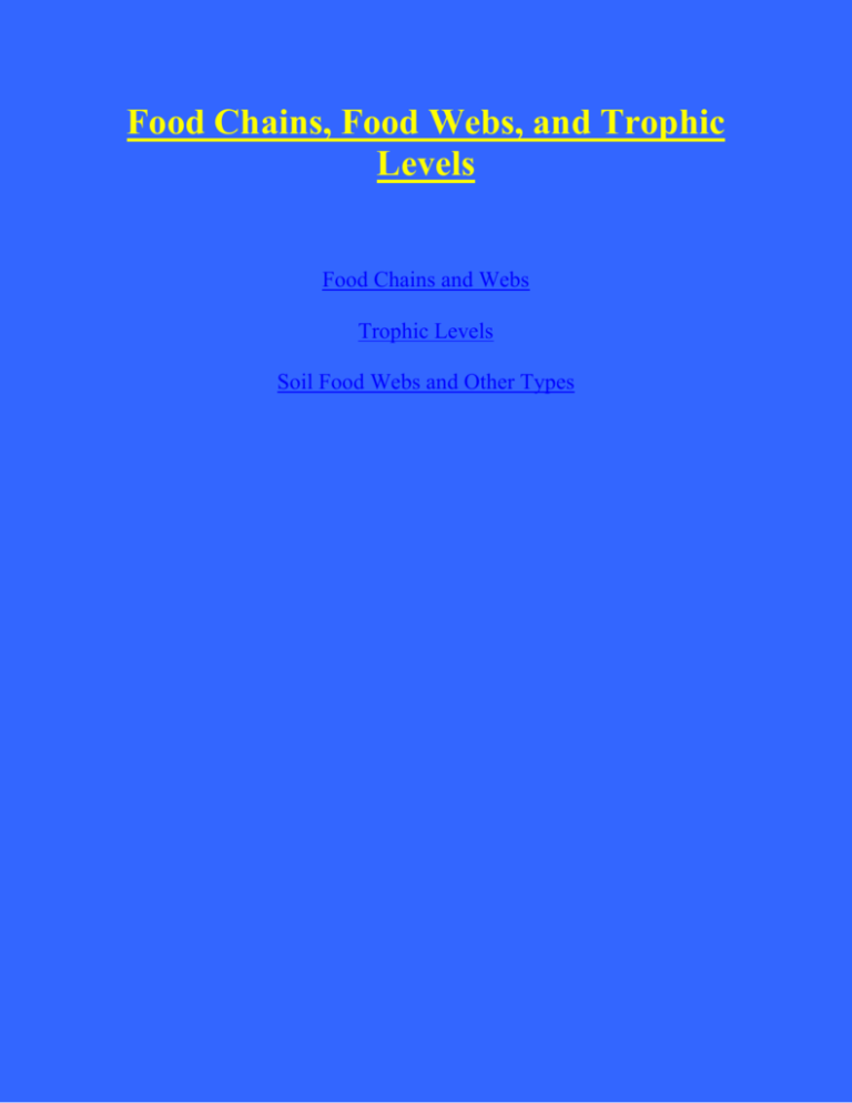 Food Chains Food Webs And Trophic Levels