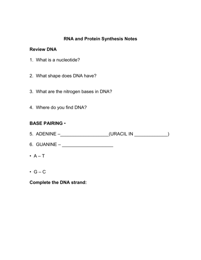 Protein Syn notes blank
